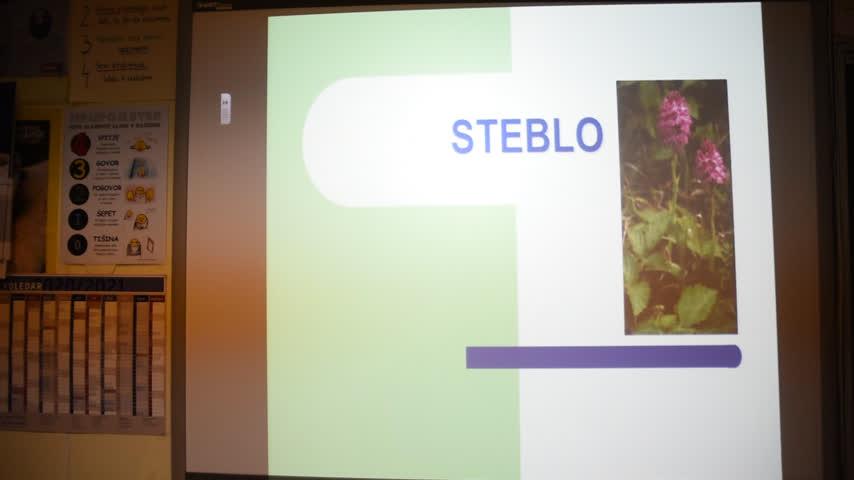 Steblo