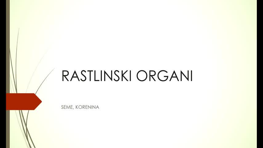 Rastlinski organi: seme