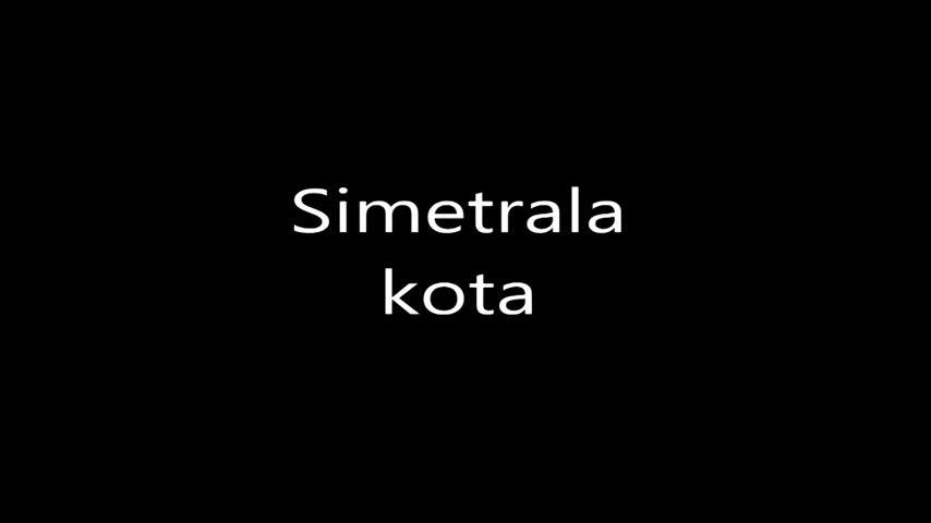 Simetrala kota