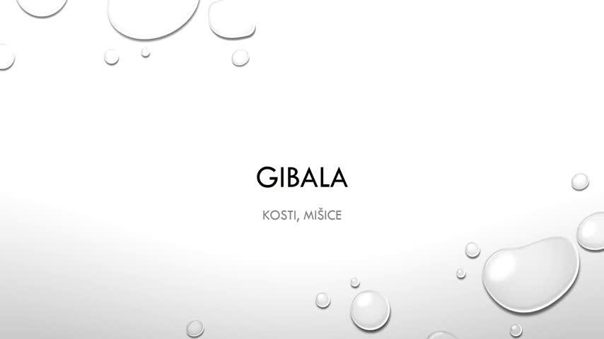 GIBALA
