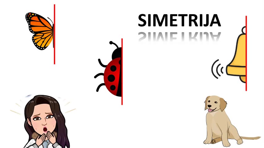 SIMETRIJA