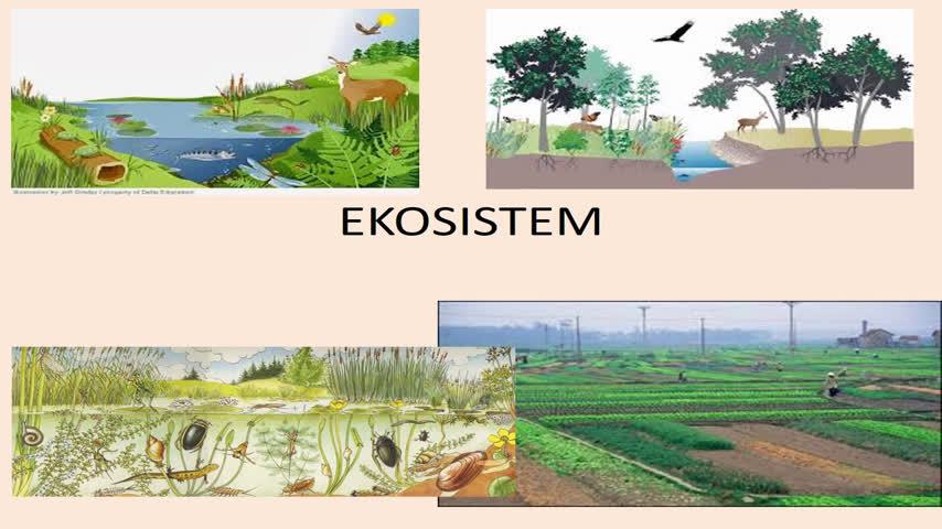 EKOSISTEM