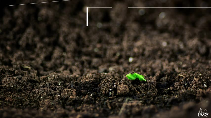 Rast, razvoj in razmnoževanje rastlin